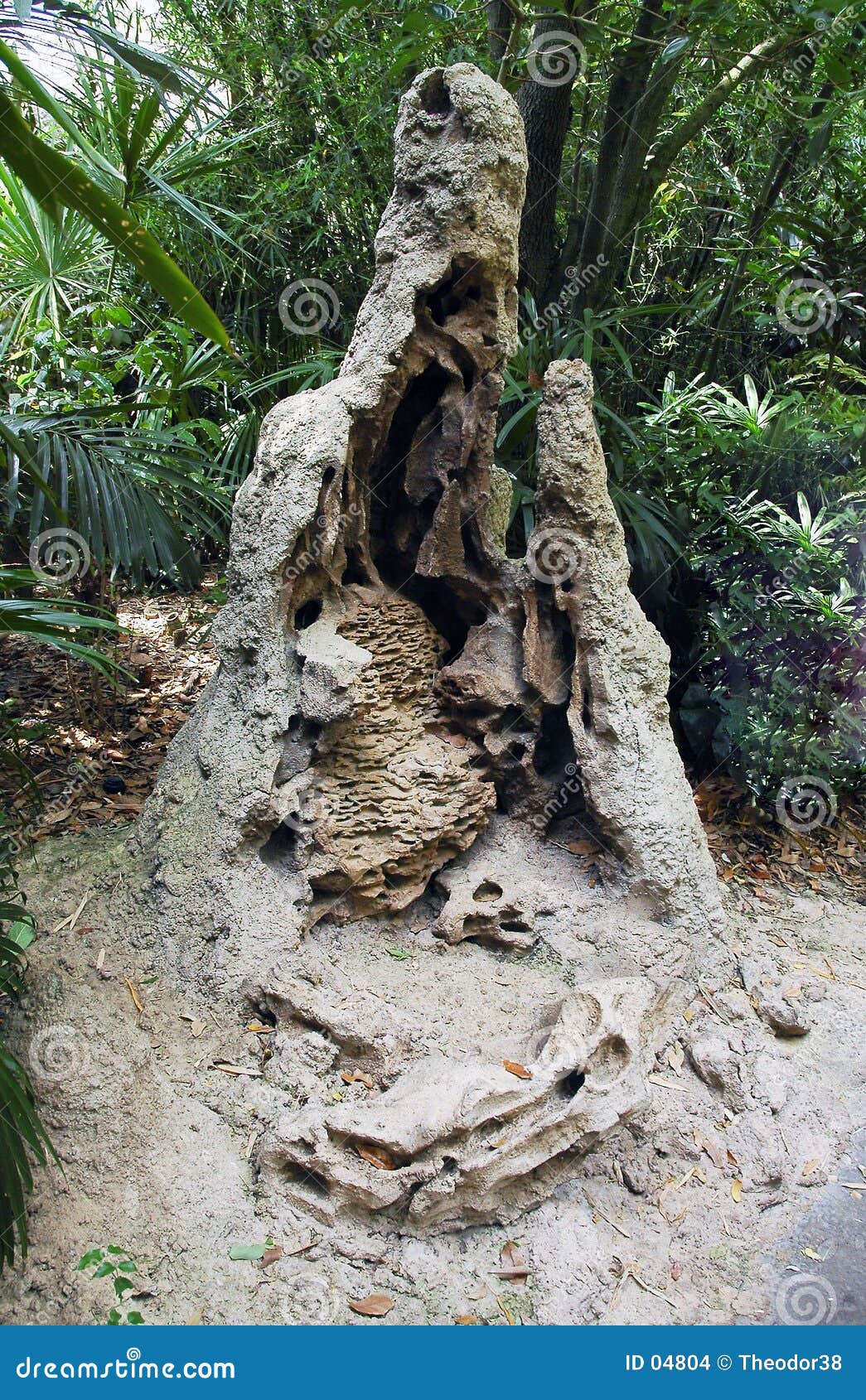 Termite Mound Cross Section