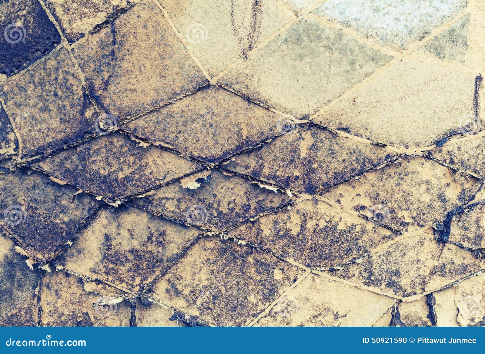 Termite Nest on a Sheet of Paper Stock Photo - Image of nests ...