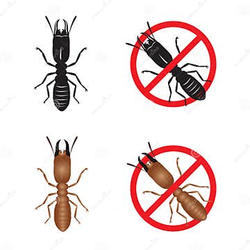 Termite and Stop Termite Sign Symbols Vector Design Stock Vector ...
