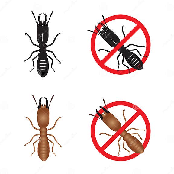 Termite and Stop Termite Sign Symbols Vector Design Stock Vector ...