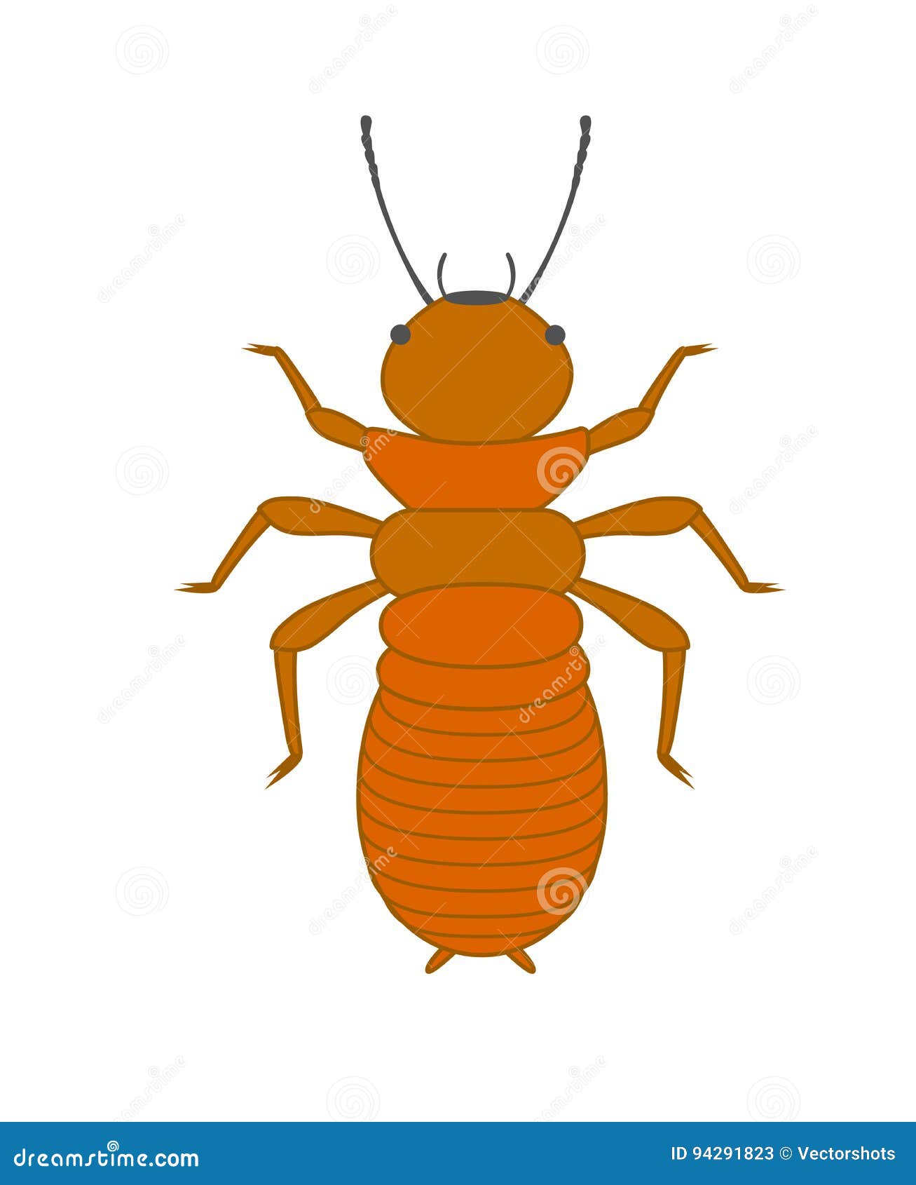 Vector Insect Set. Cute Bugs, Butterflies, Moths And Beetles. Hand ...