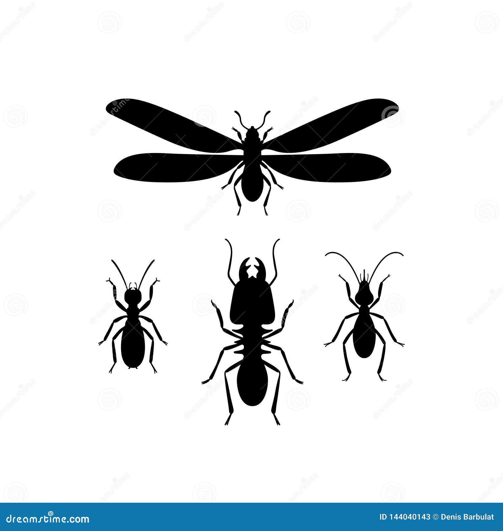 Termites Queen Stock Illustrations – 9 Termites Queen Stock ...