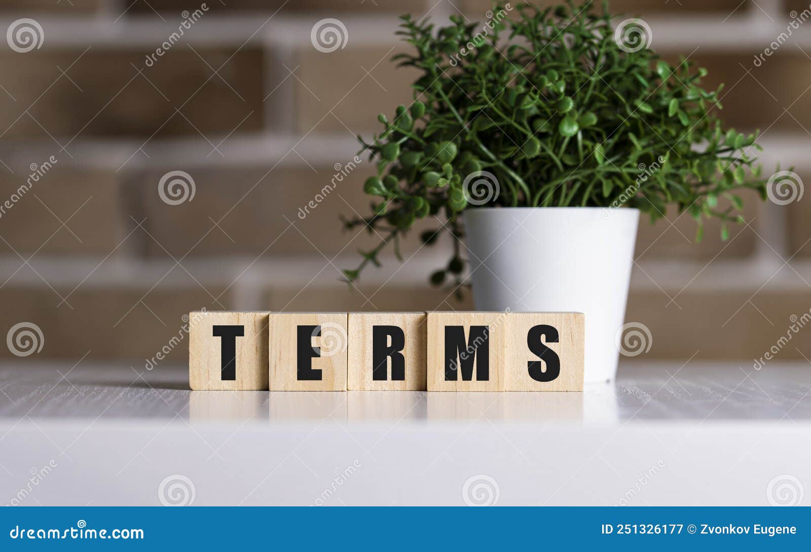 Terms Sign on a Wooden Cubes with Plant. Stock Image - Image of ...