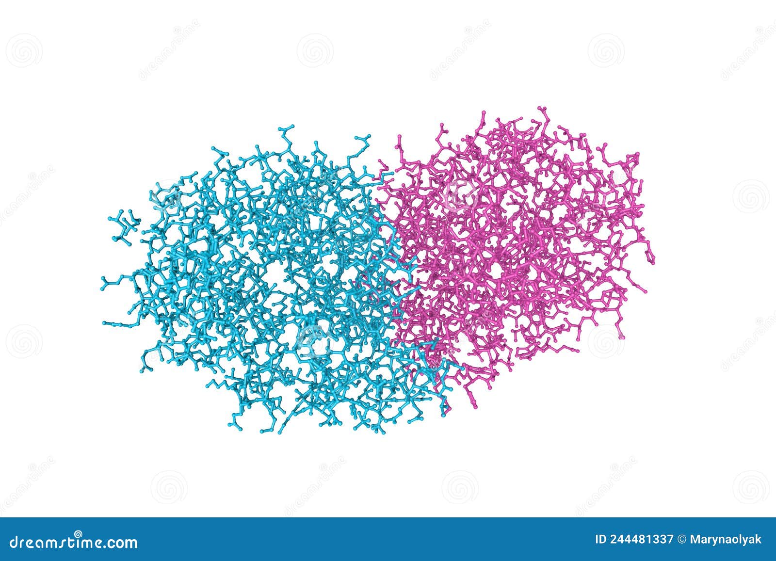 Ternary Human PL Kinase-Ginkgotoxin-MgATP Complex. Molecular Model ...