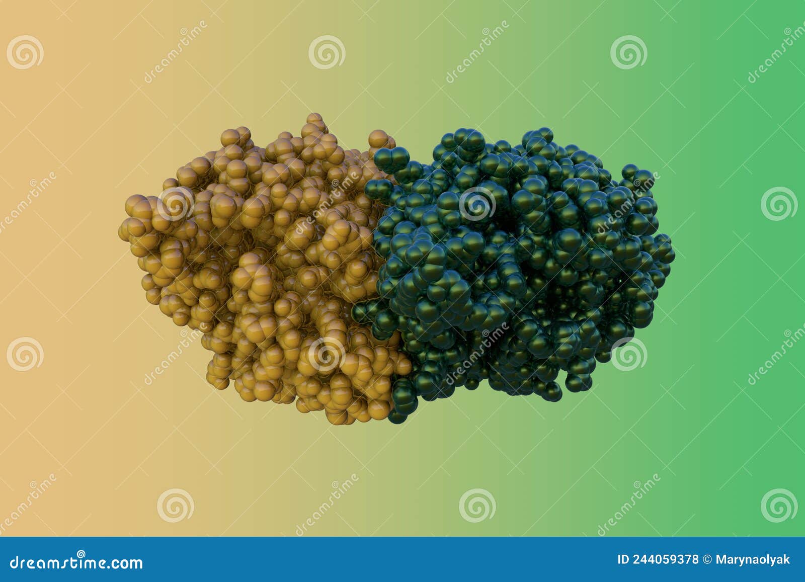 Ternary Human PL Kinase-Ginkgotoxin-MgATP Complex. Space-filling ...