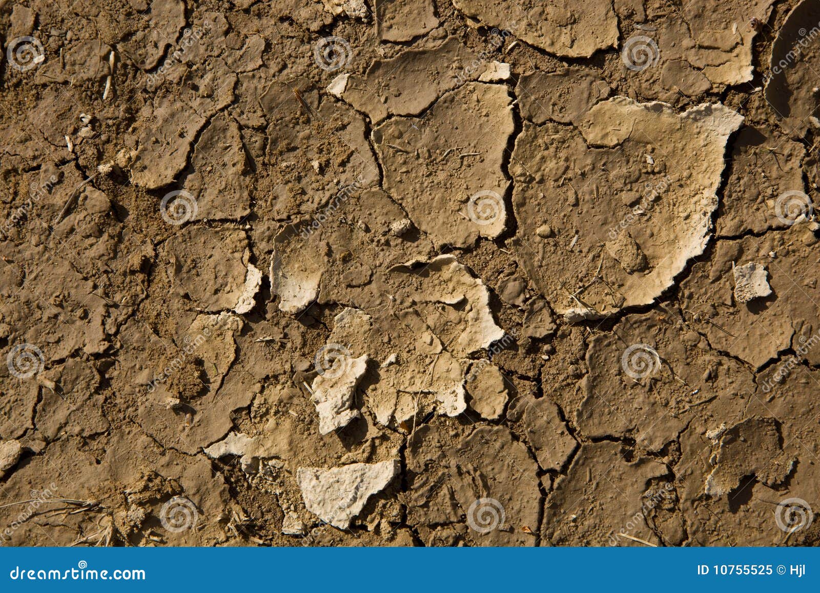 Terra arida immagine stock. Immagine di geologia, artistico - 10755525