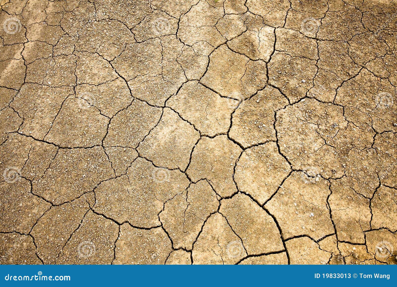 Terra Asciutta. Terra Incrinata Ed Arida Immagine Stock - Immagine di ...
