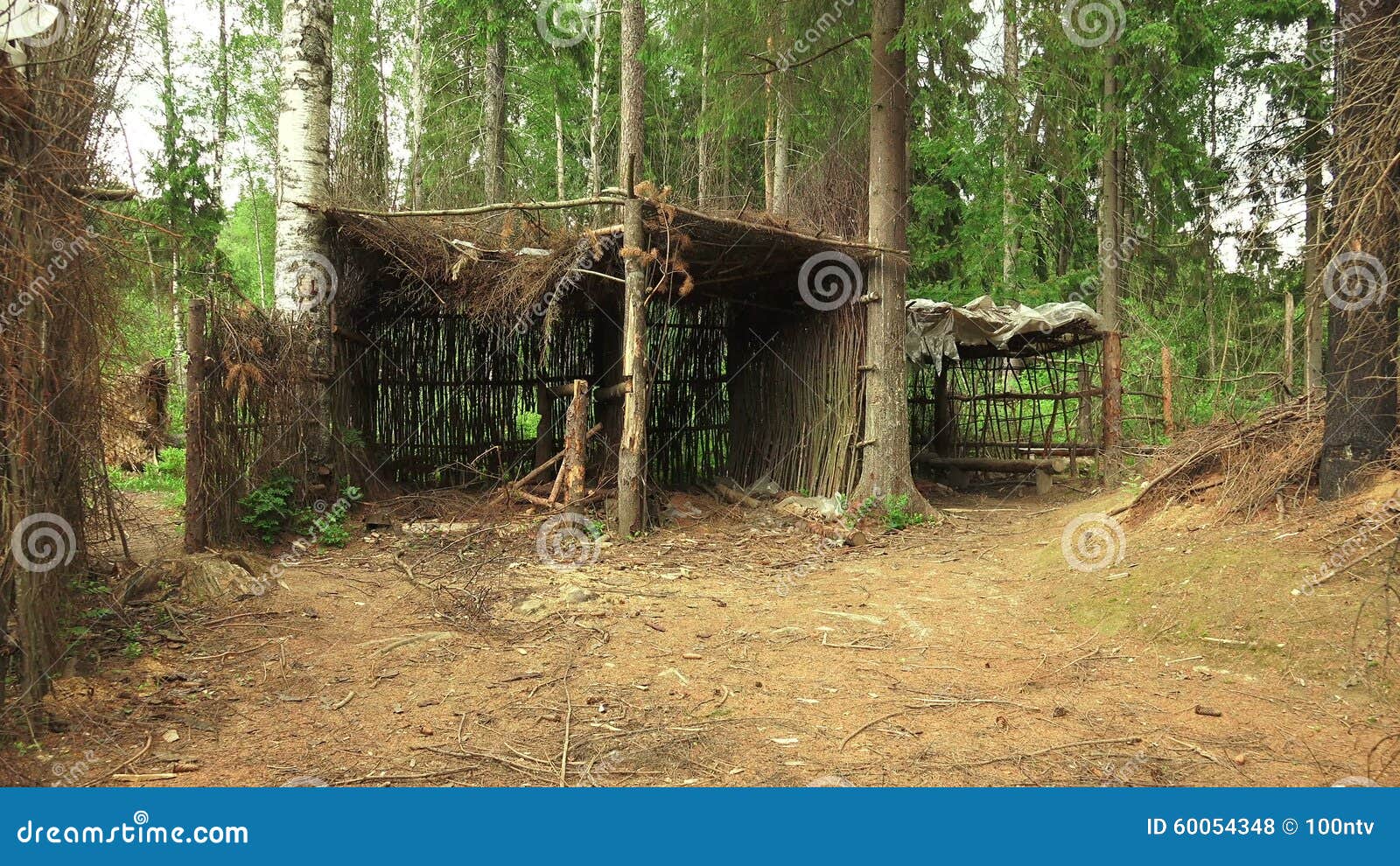 Terra-casas E Cabanas Militares Na Floresta 4K Filme - Vídeo de defesa ...