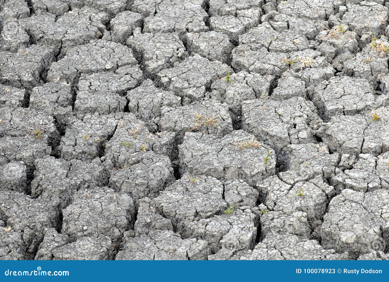 Terra dura imagem de stock. Imagem de terra, duro, resistente - 100078923