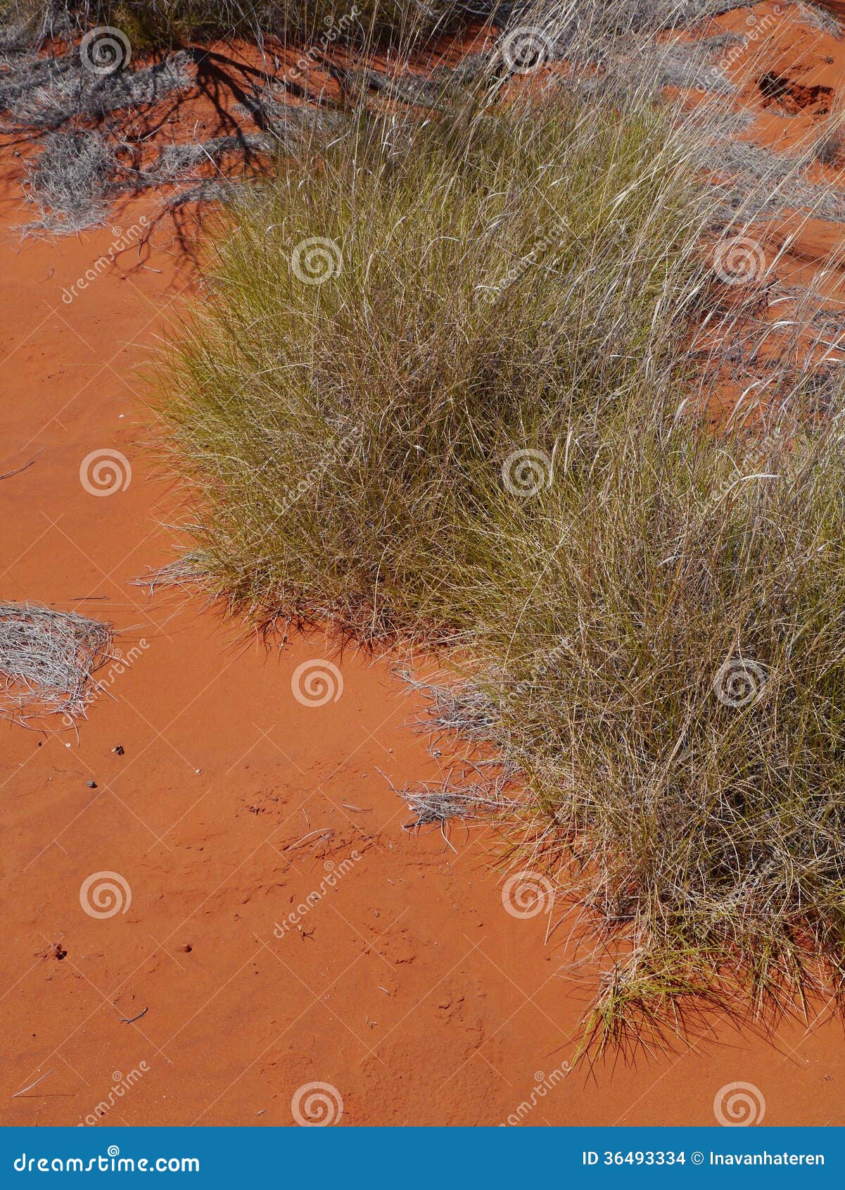 Terra Rossa Nel Territorio Del Nord Fotografia Stock - Immagine di ...