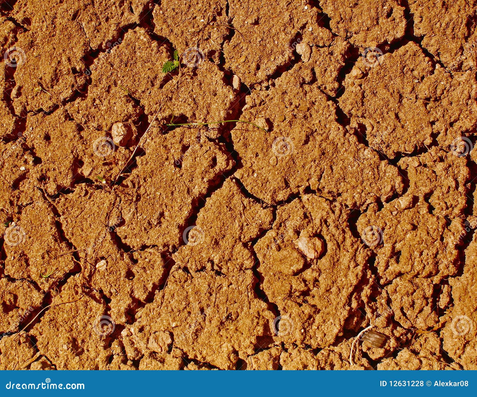 Terra seca foto de stock. Imagem de terra, secura, acres - 12631228