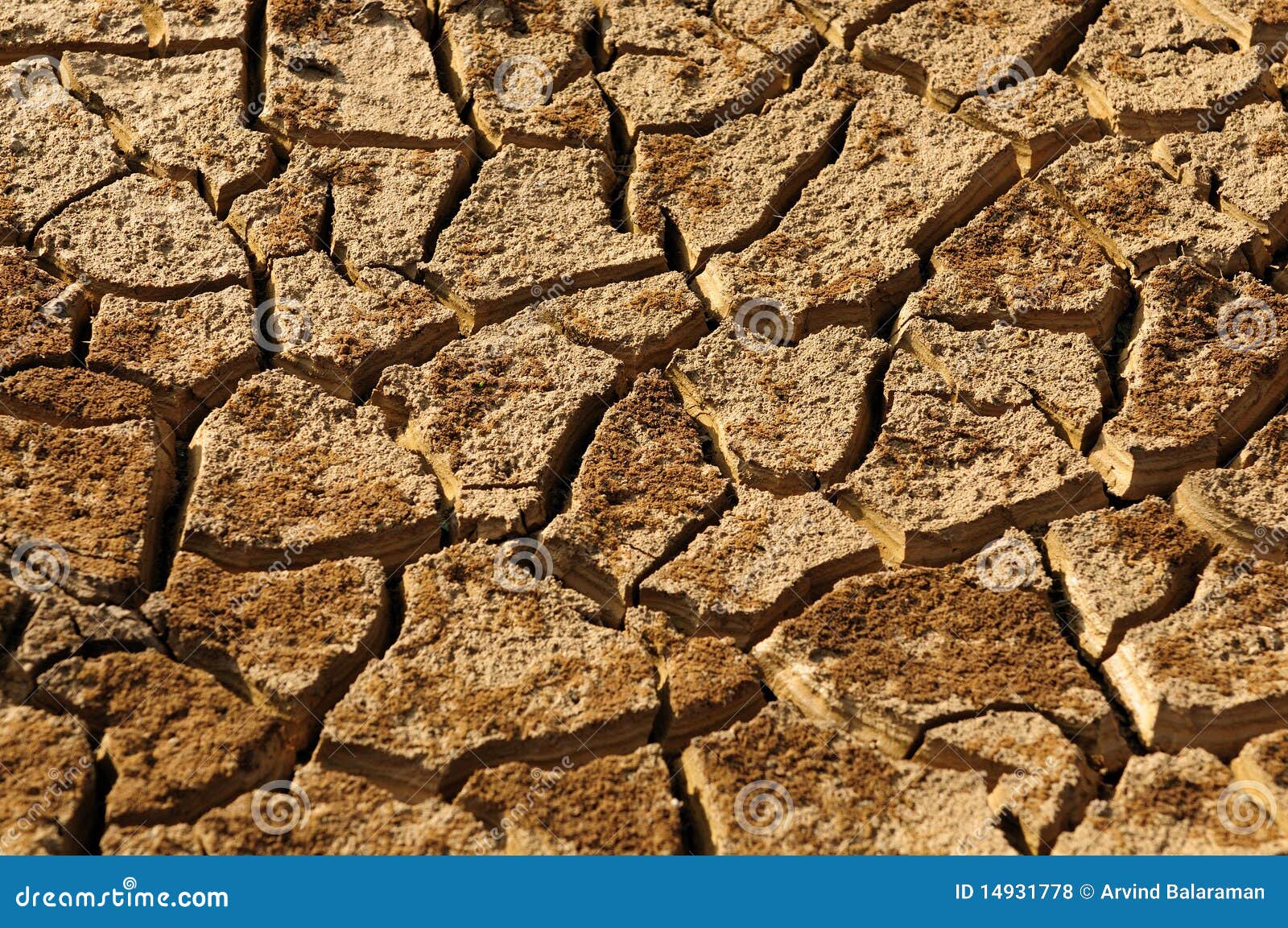 Terra seca foto de stock. Imagem de profundamente, macro - 14931778