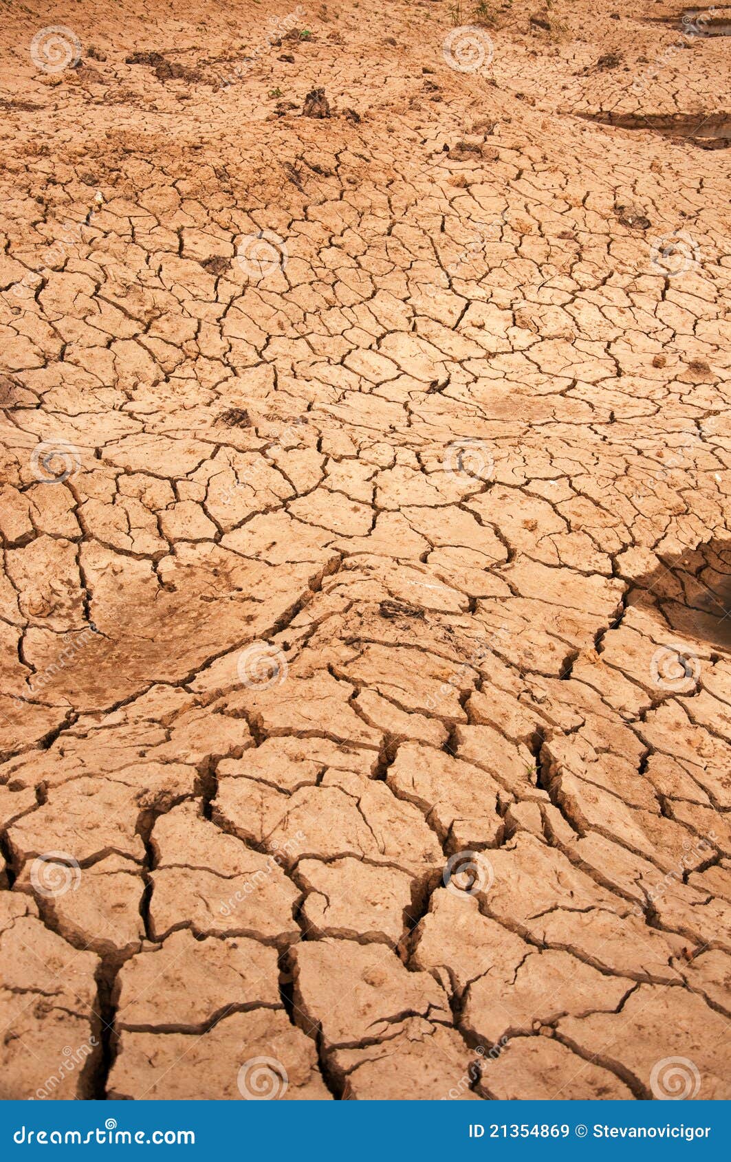 Terra seca imagem de stock. Imagem de backdrop, fundo - 21354869