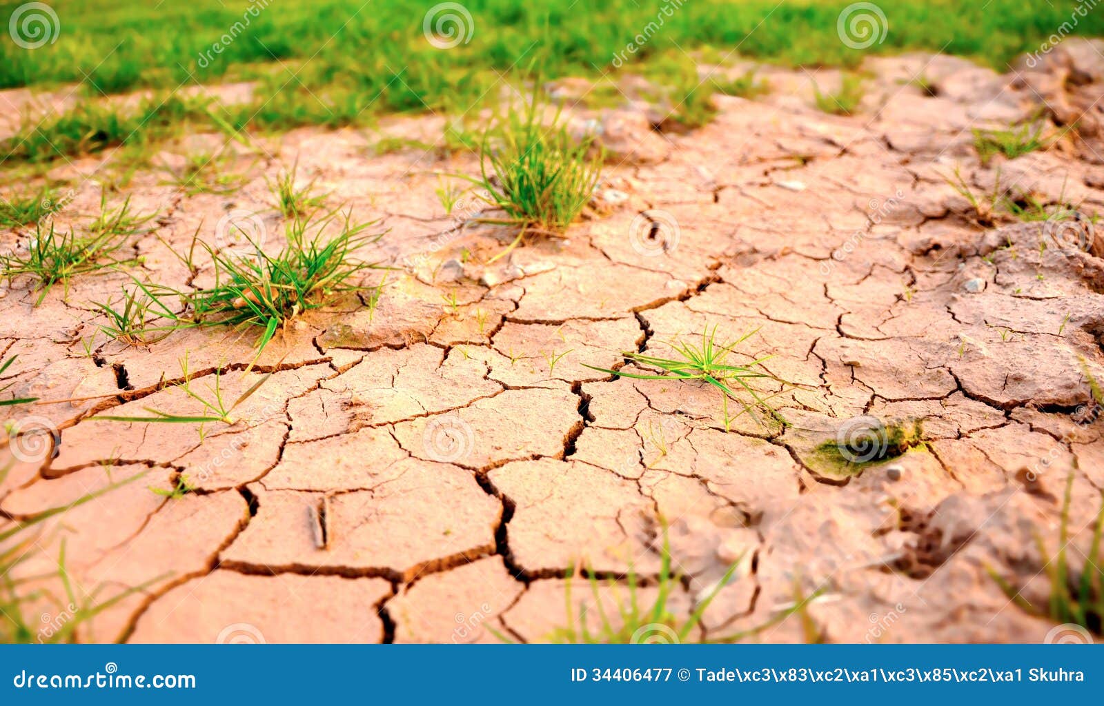 Terra seca imagem de stock. Imagem de verde, seco, mira - 34406477