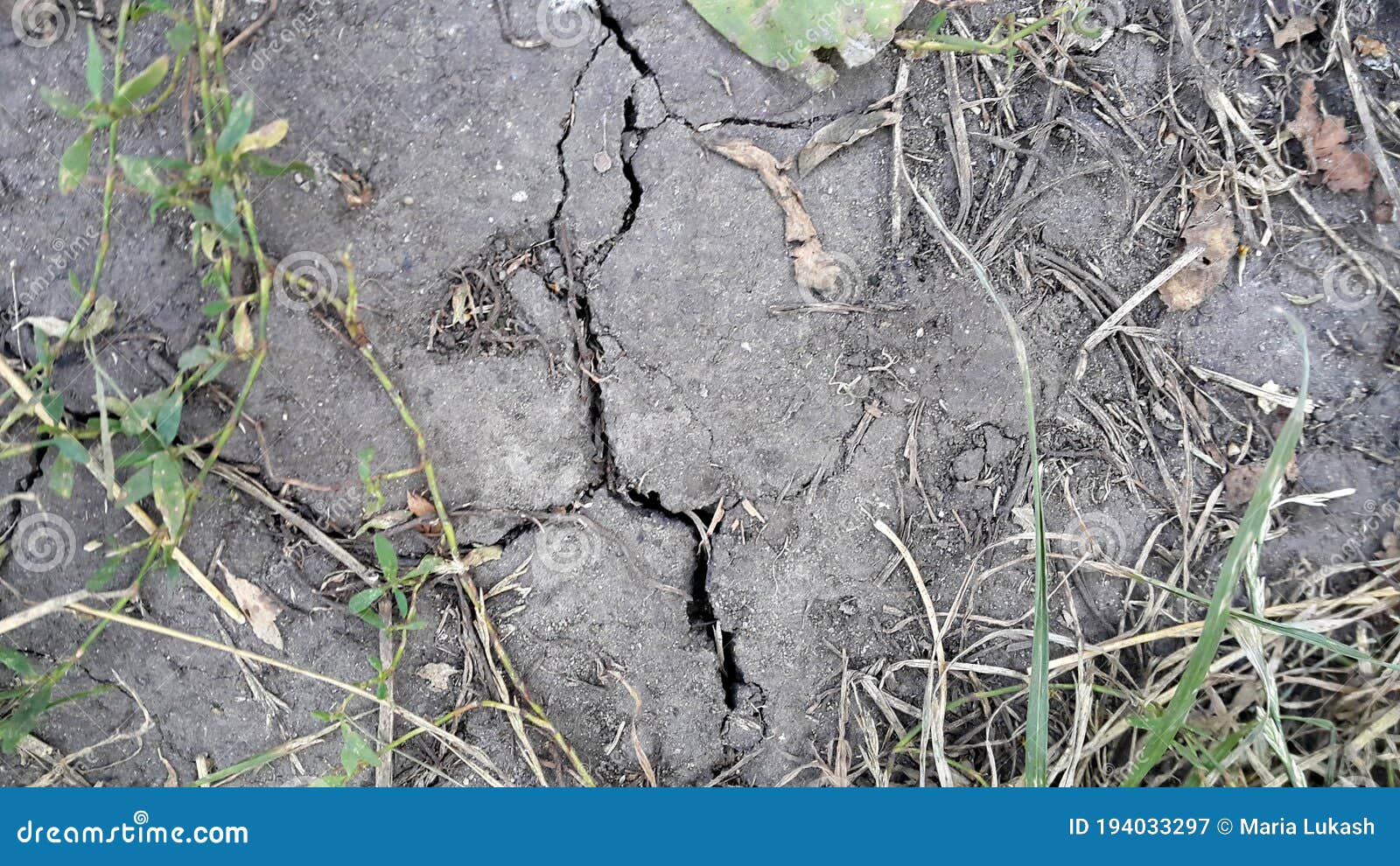 Terra Seca Com Fendas. Erva Verde Seca. Seca. Sem água. Imagem de Stock ...