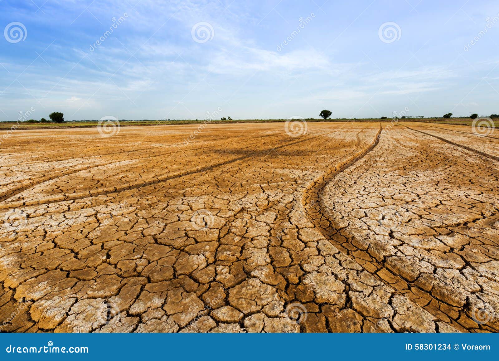 Terra seca e rachada foto de stock. Imagem de planta - 58301234