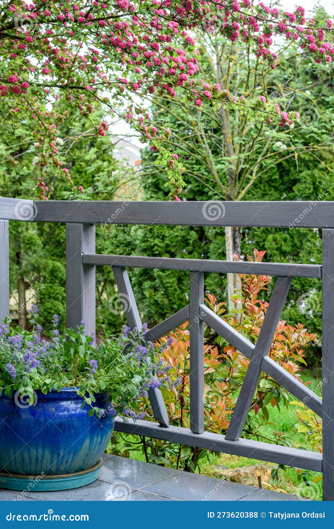 Terrace Area with a Gray Railing and a Blue Flower Pot. Stock Photo ...