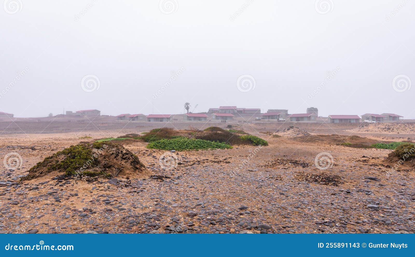 Terrace Bay Resort, Skeleton Coast, Namibia. Stock Image - Image of ...