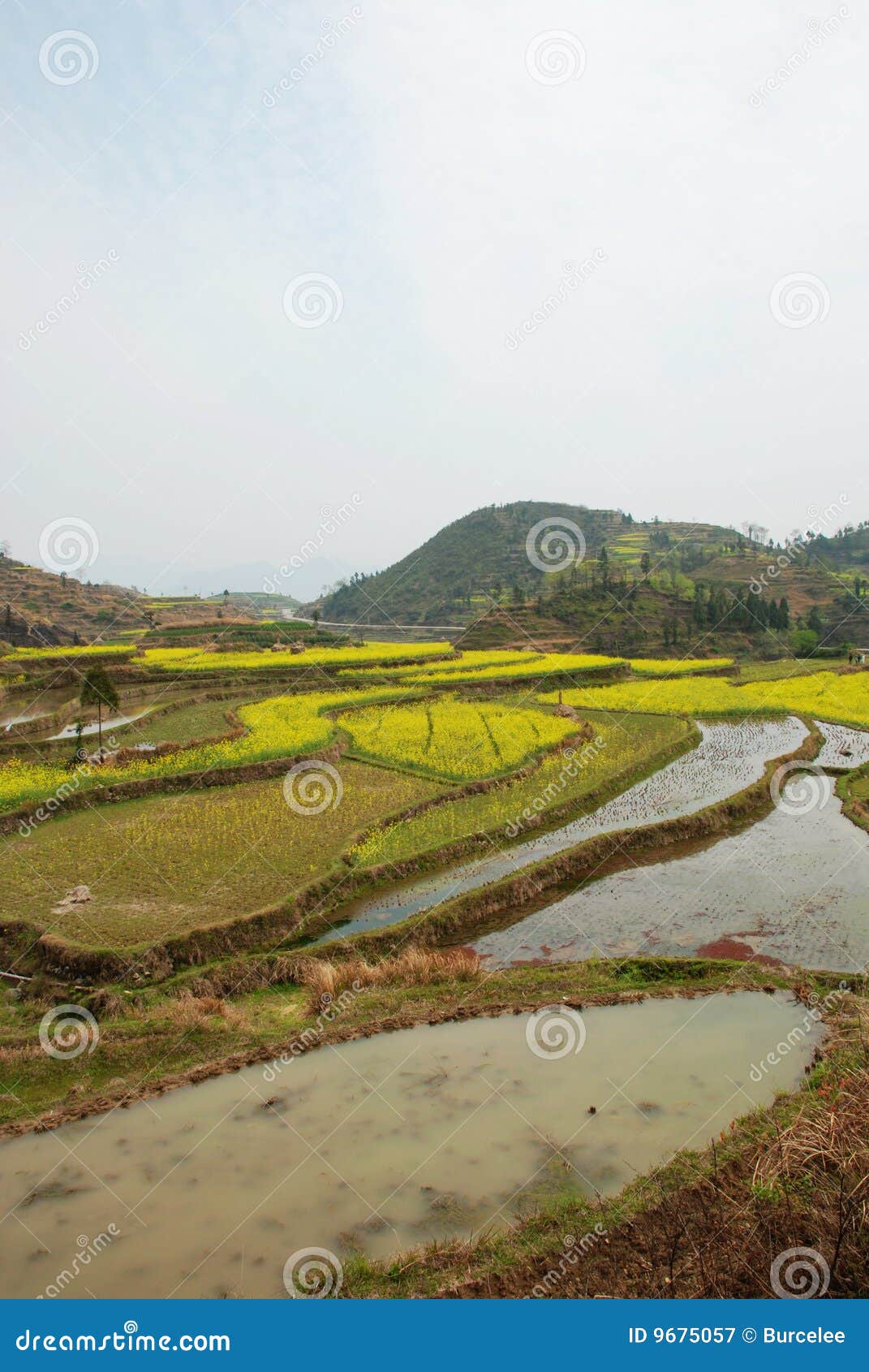 Terrace in china stock image. Image of scene, province - 9675057