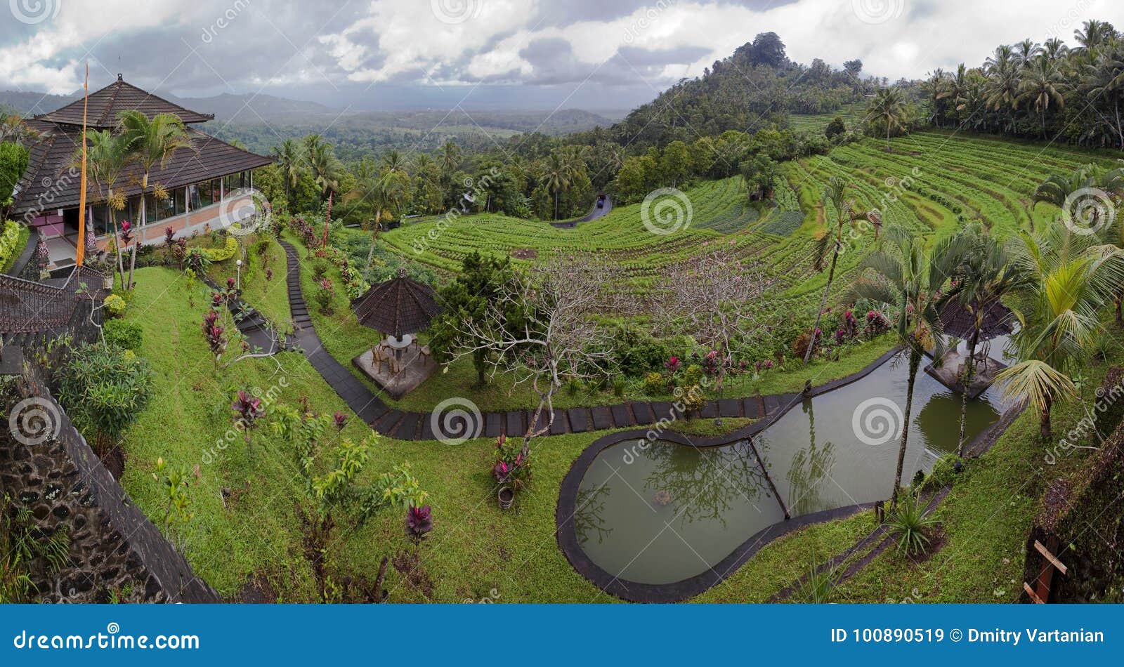 Terrace farm in Bali stock image. Image of bali, indonesia - 100890519