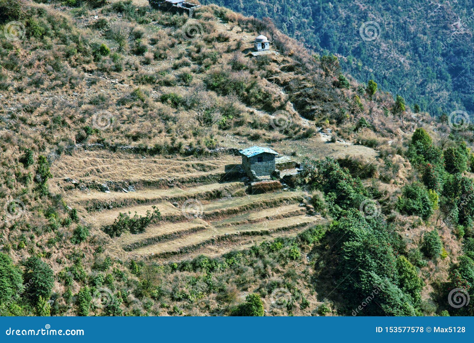 Terrace Farming the Mountains on the Poor Stony Soils Stock Photo ...