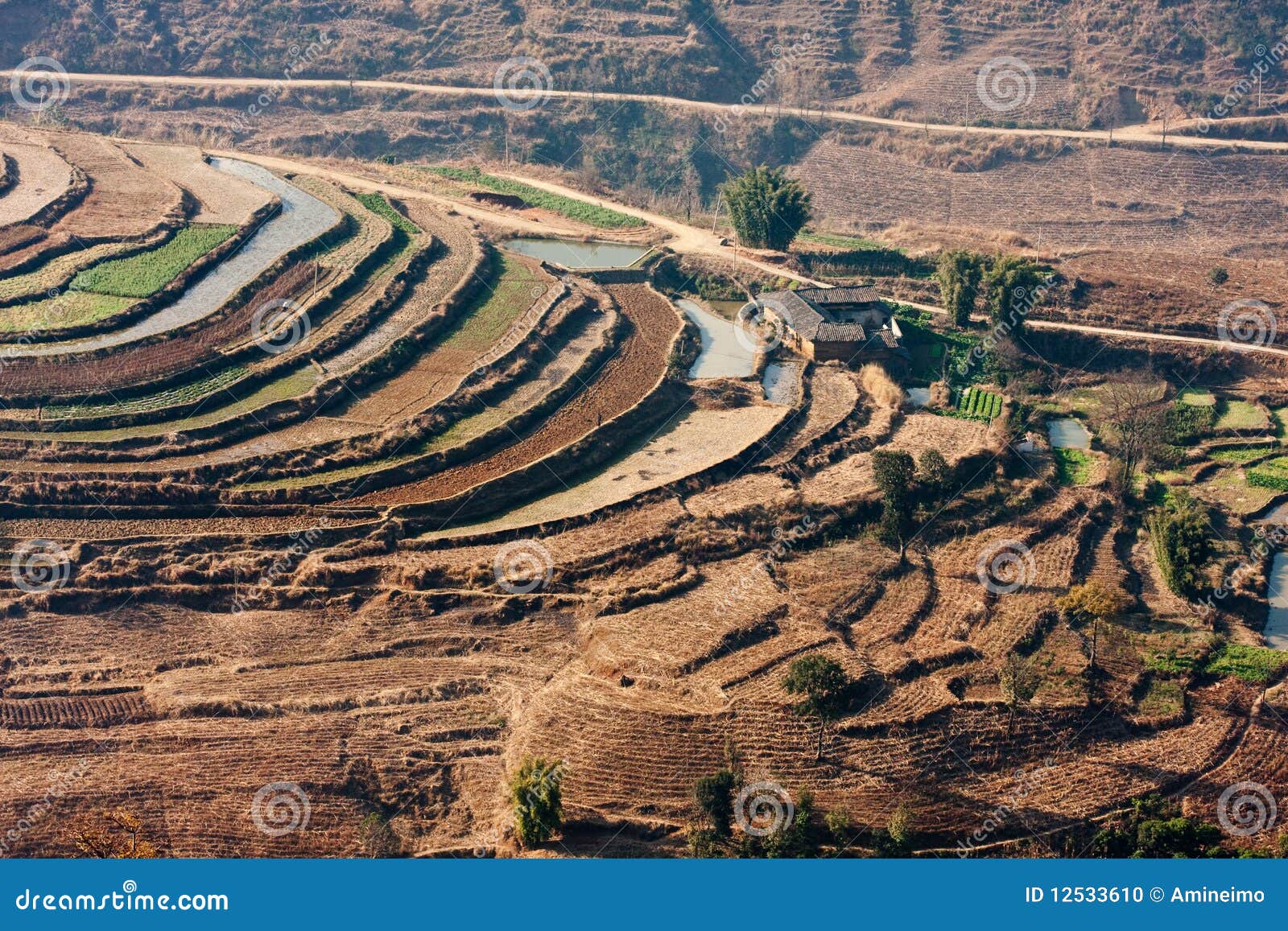 Terrace field stock photo. Image of northlan, summer - 12533610