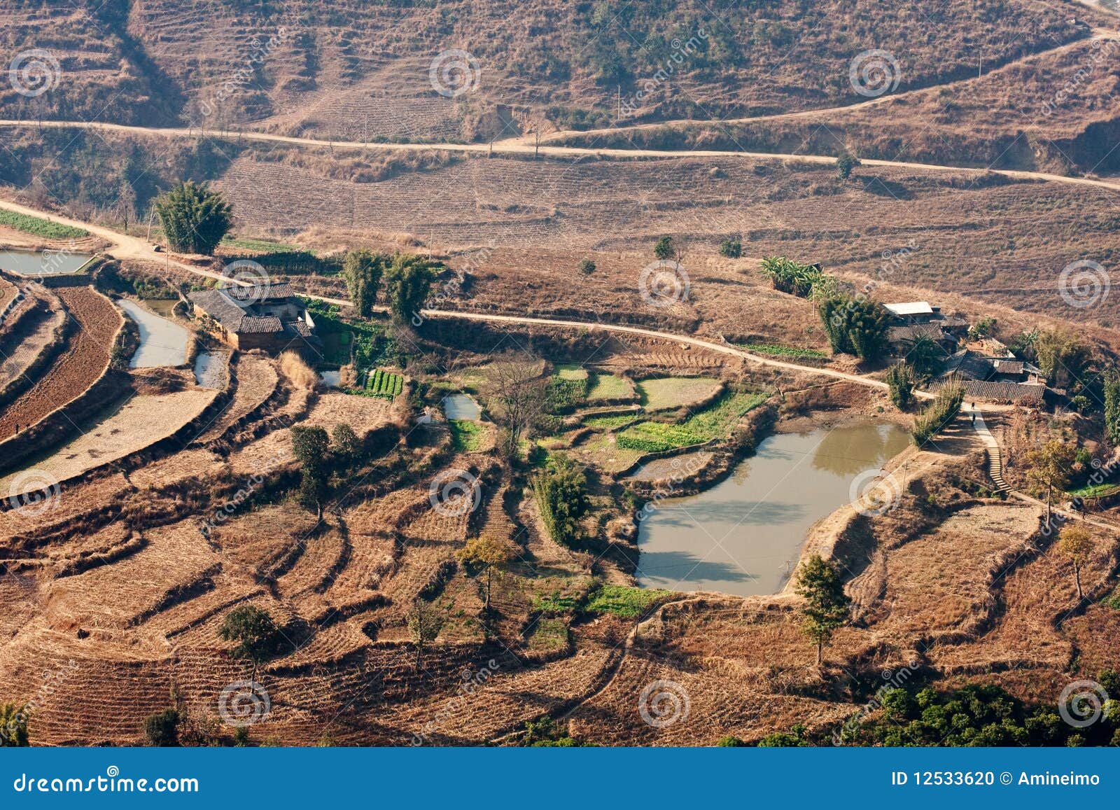 Terrace field stock photo. Image of terrace, protection - 12533620