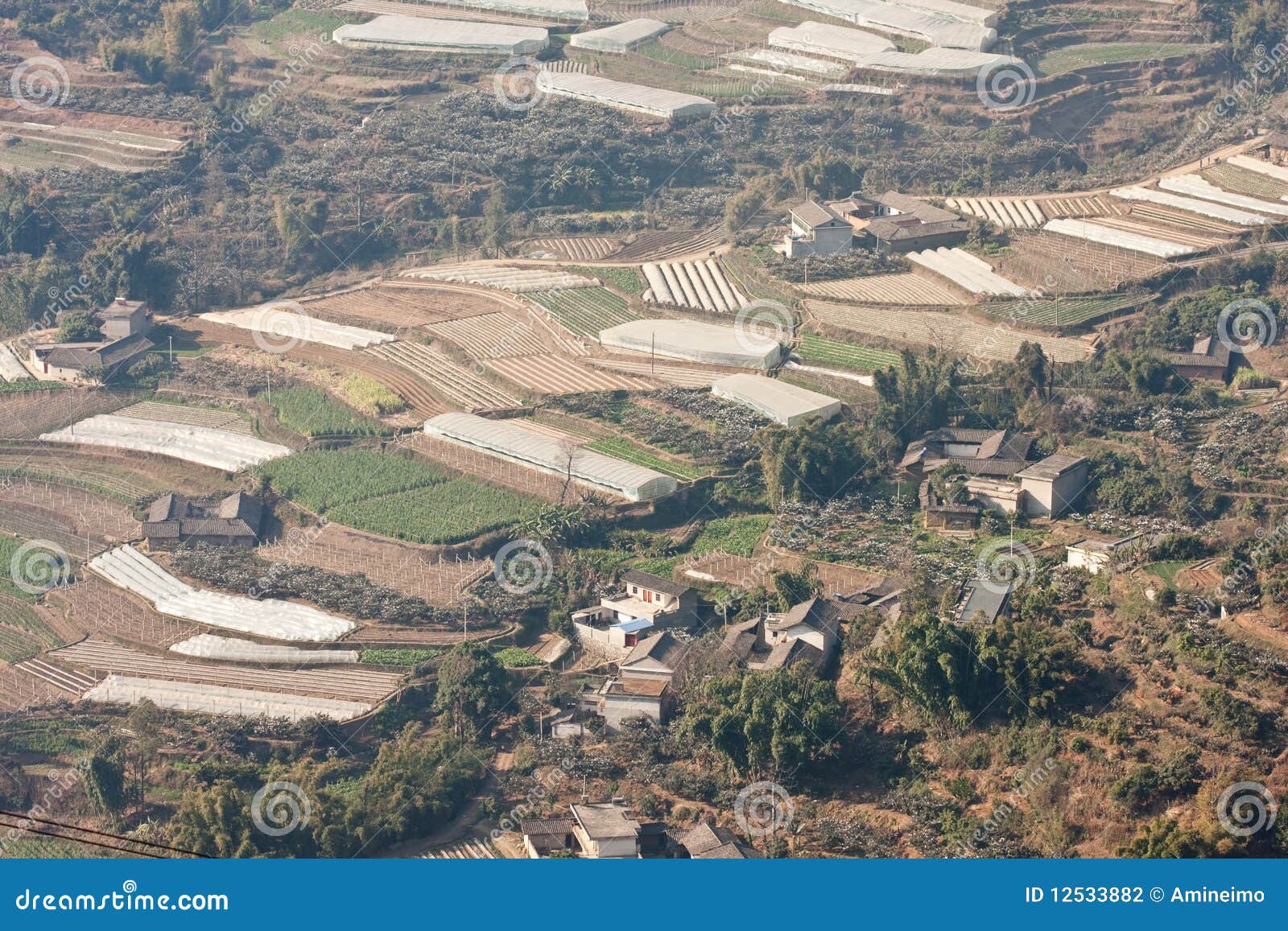 Terrace field stock photo. Image of green, northlan, morning - 12533882
