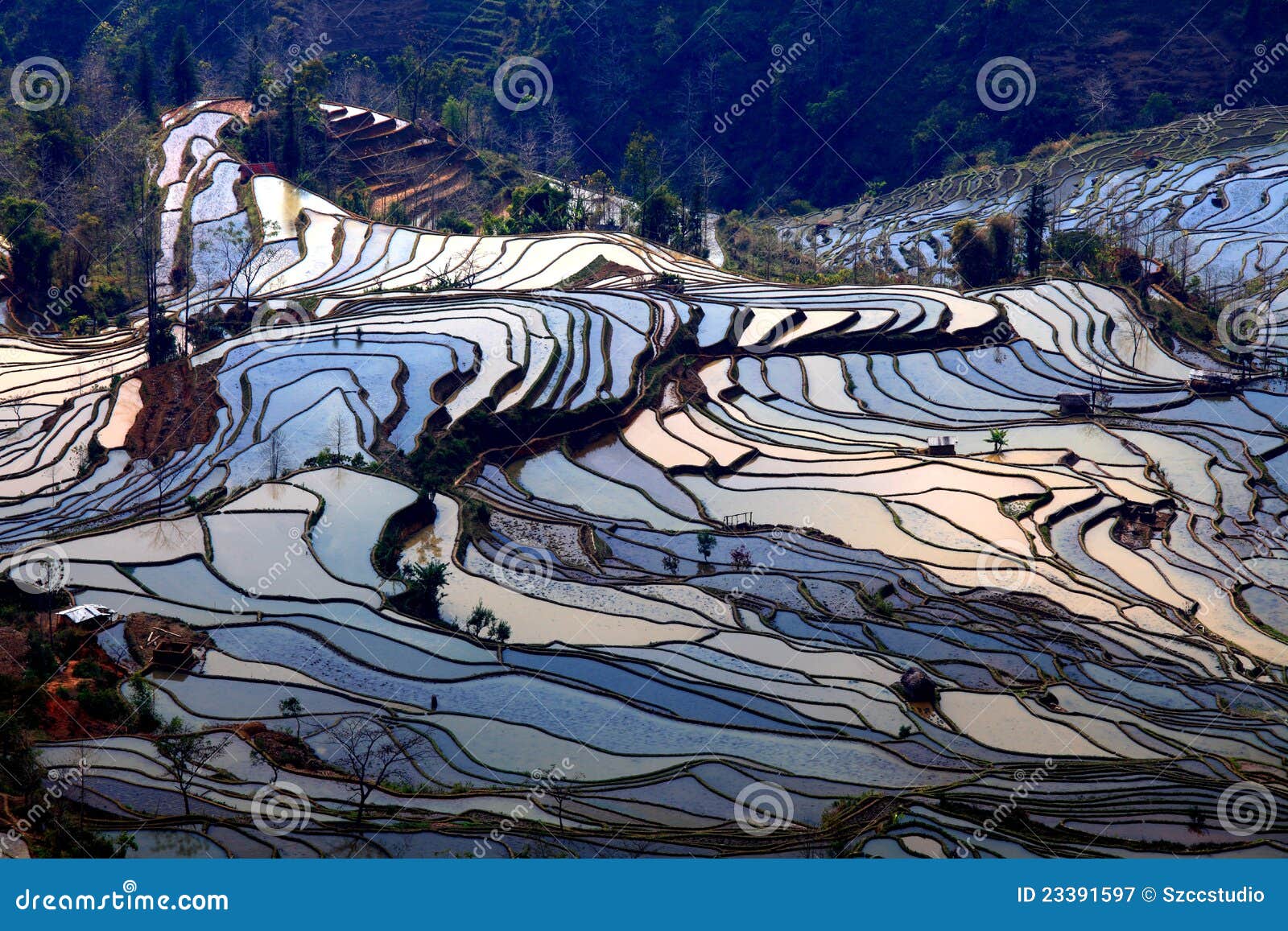 Terrace field stock image. Image of asia, home, chinese - 23391597