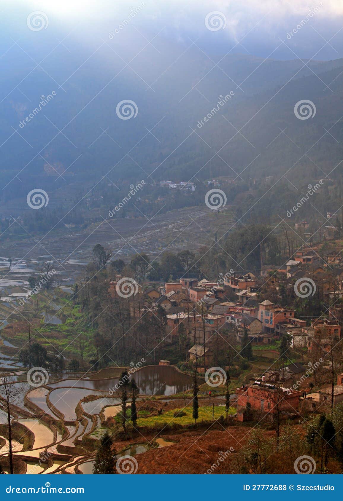 Terrace field stock photo. Image of country, countryside - 27772688