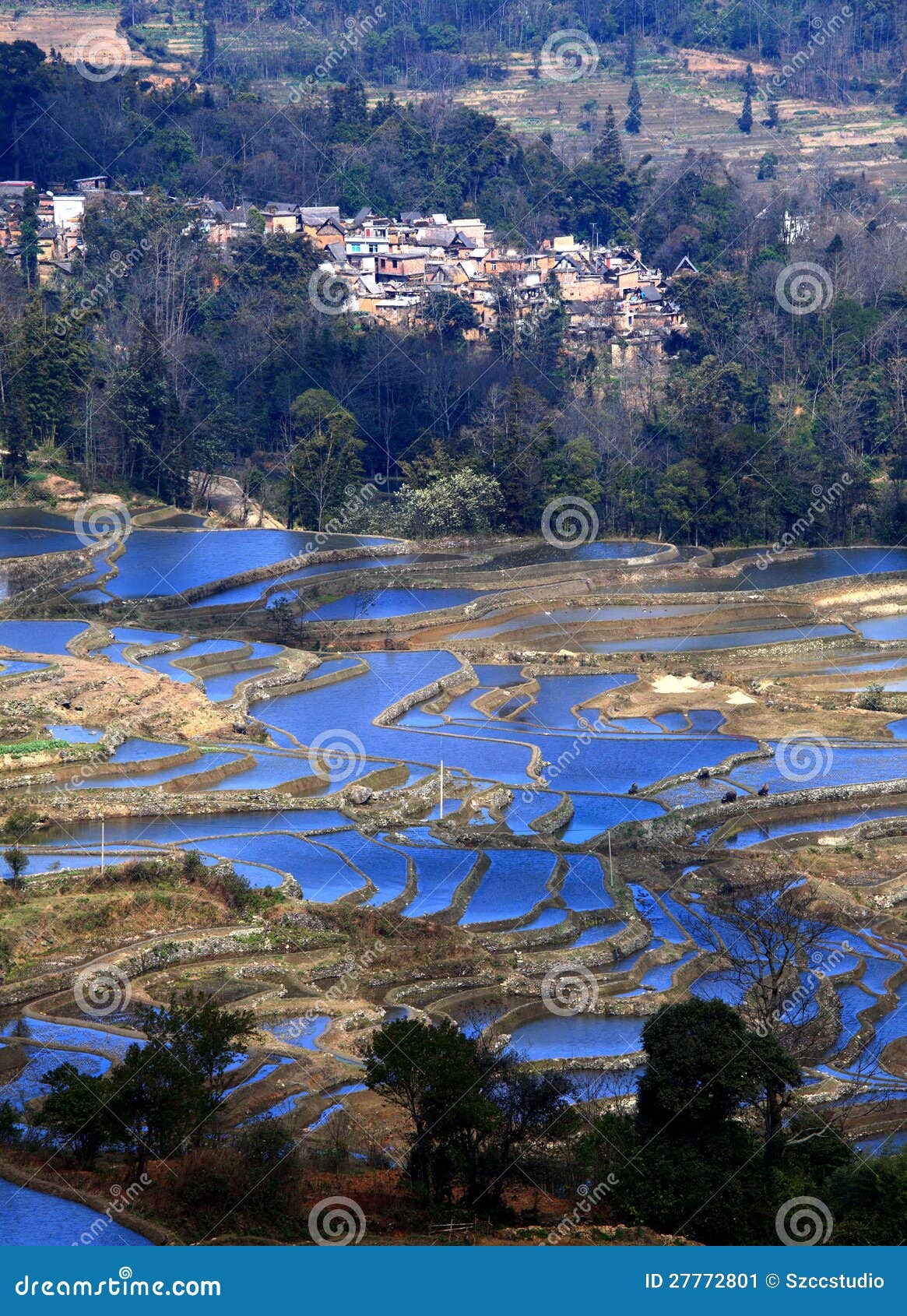 Terrace field stock image. Image of hill, ancient, cloud - 27772801