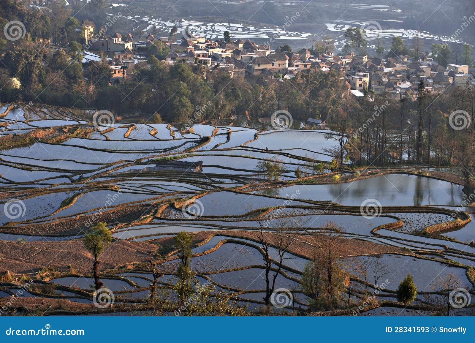 Terrace field stock image. Image of irrigation, paddy - 28341593