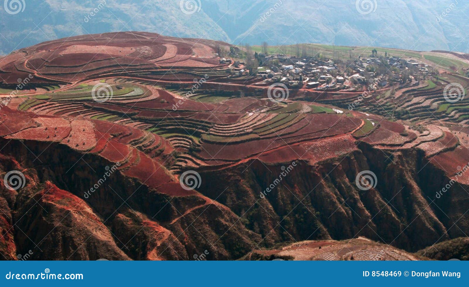 Terrace field in Asia stock image. Image of east, jungle - 8548469