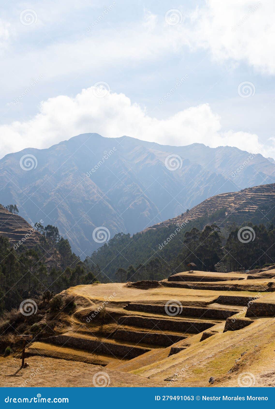 Terrace Fields in the Colca Canyon in Peru Stock Image - Image of cliff ...