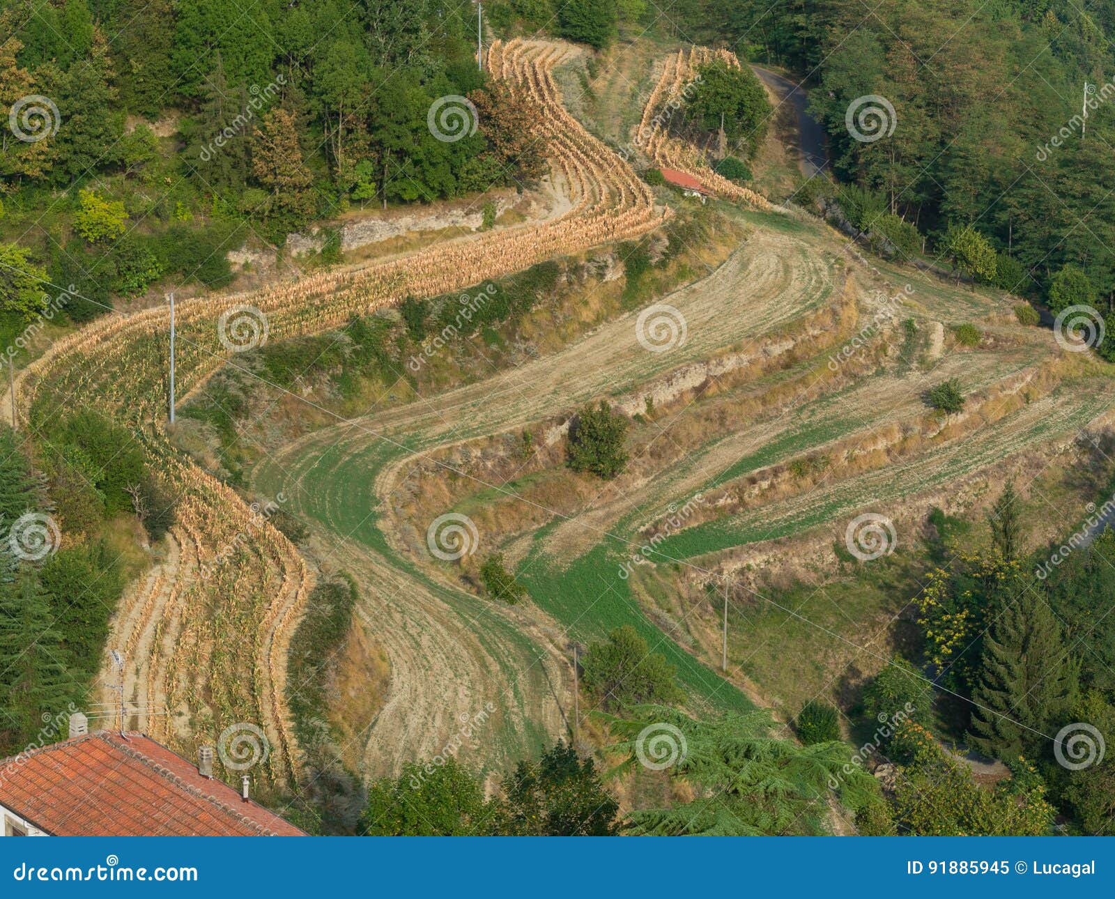 Terrace Fields Follow the Shape of a Hill Stock Image - Image of shape ...