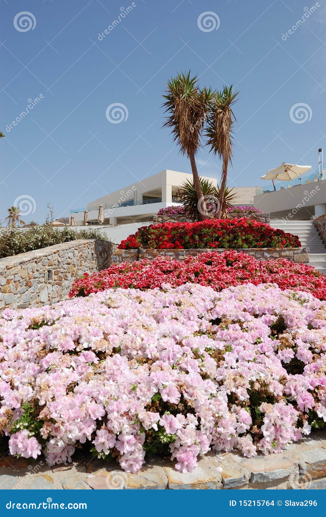 Terrace with flowers stock photo. Image of flower, aegean - 15215764