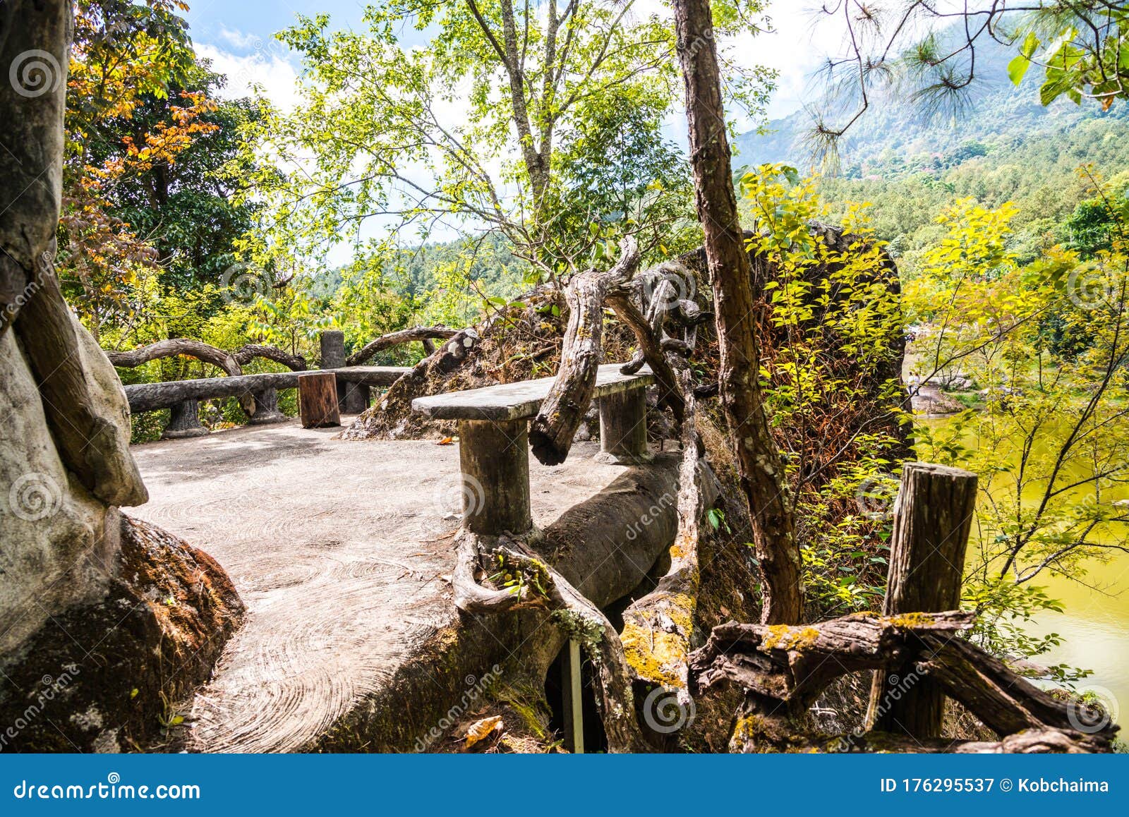 Terrace in the forest stock image. Image of flora, landscape - 176295537