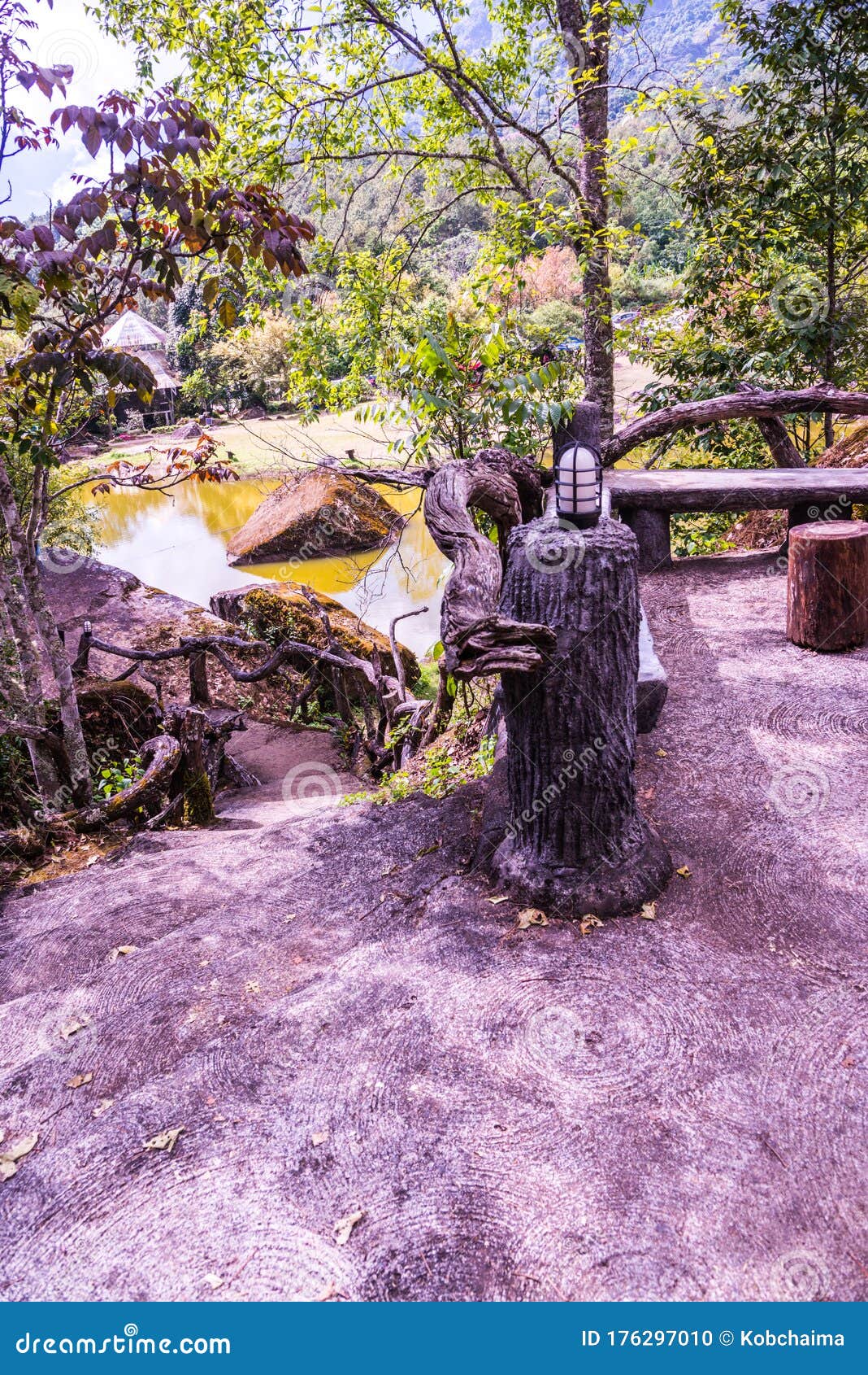 Terrace in the forest stock photo. Image of forest, terrace - 176297010