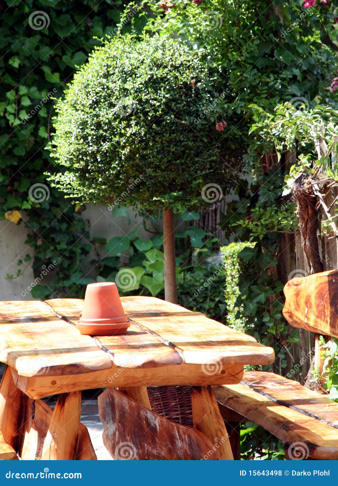 Terrace garden stock photo. Image of slow, shrubs, buxus - 15643498