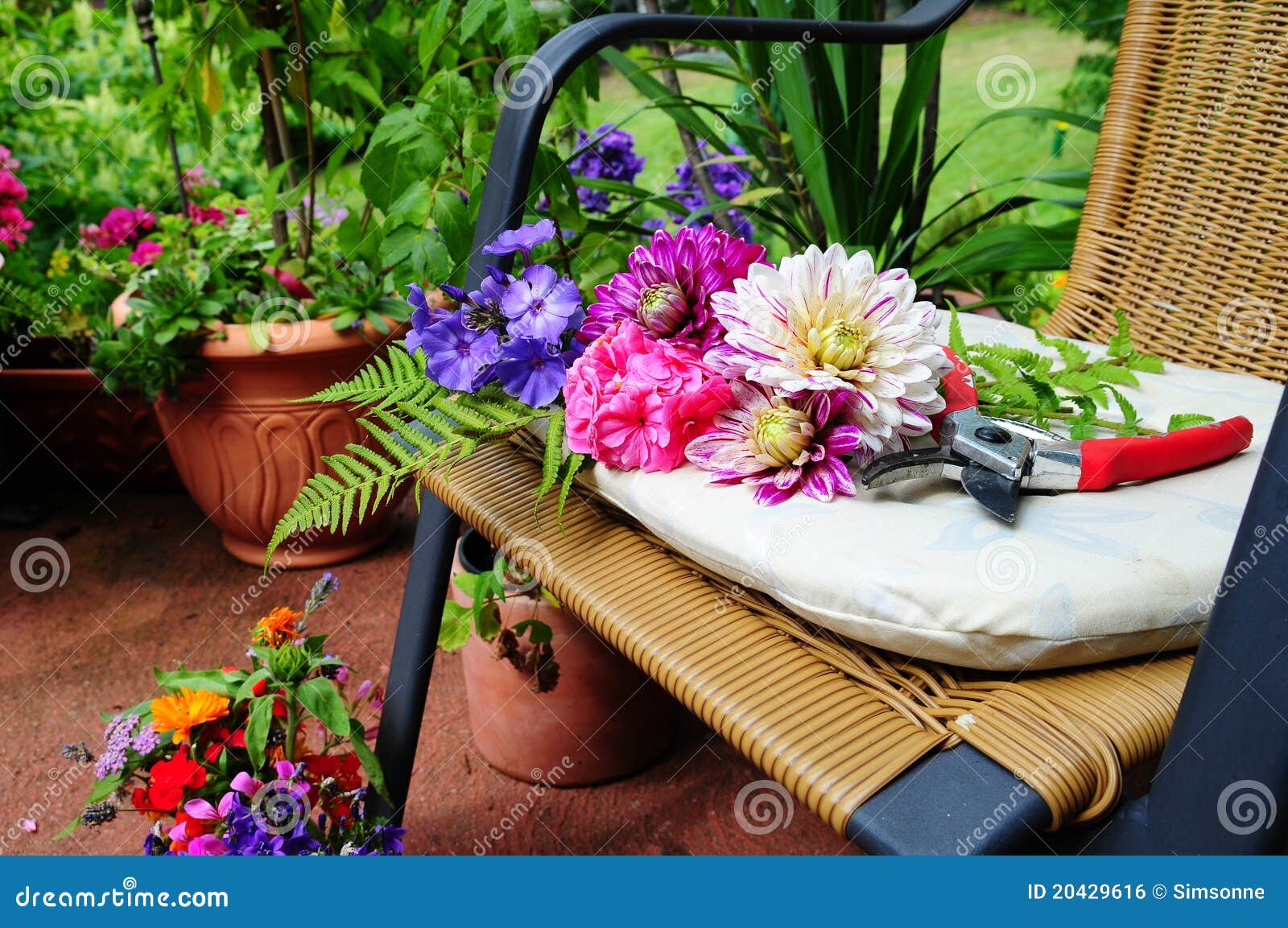 Terrace Garden flower stock photo. Image of newspaper - 20429616