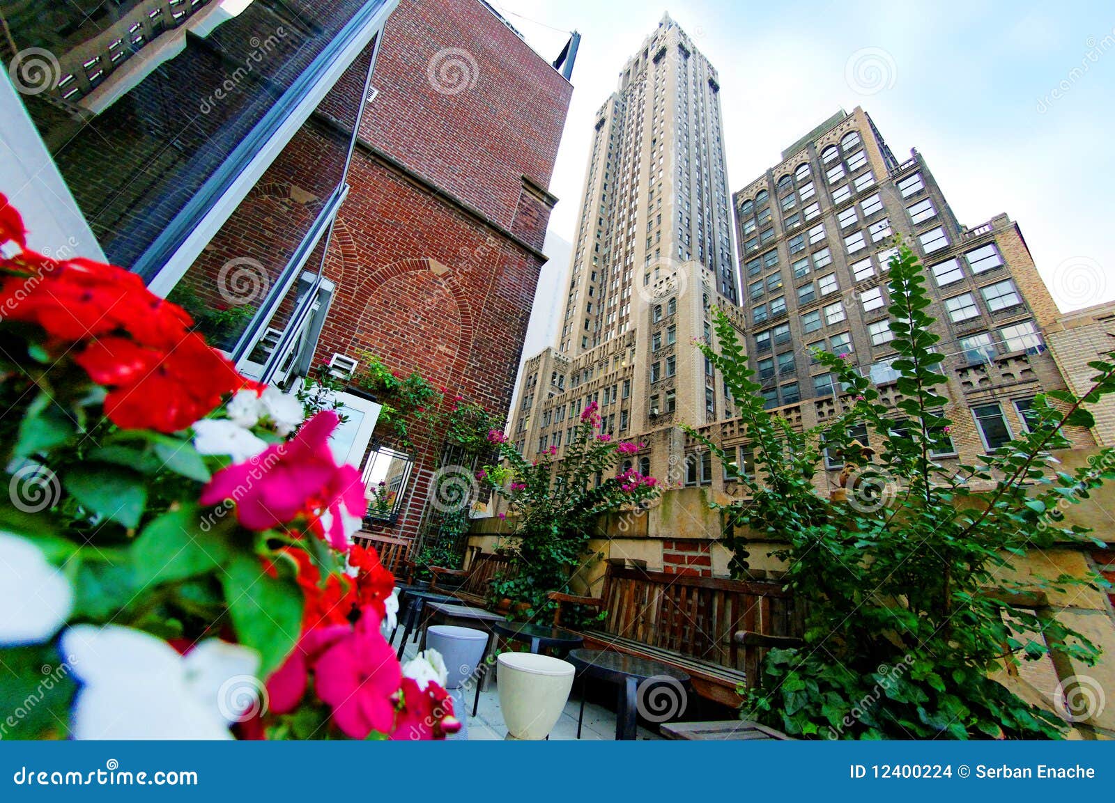 Terrace Garden and Skyscrapers Stock Photo - Image of cityscape, facade ...