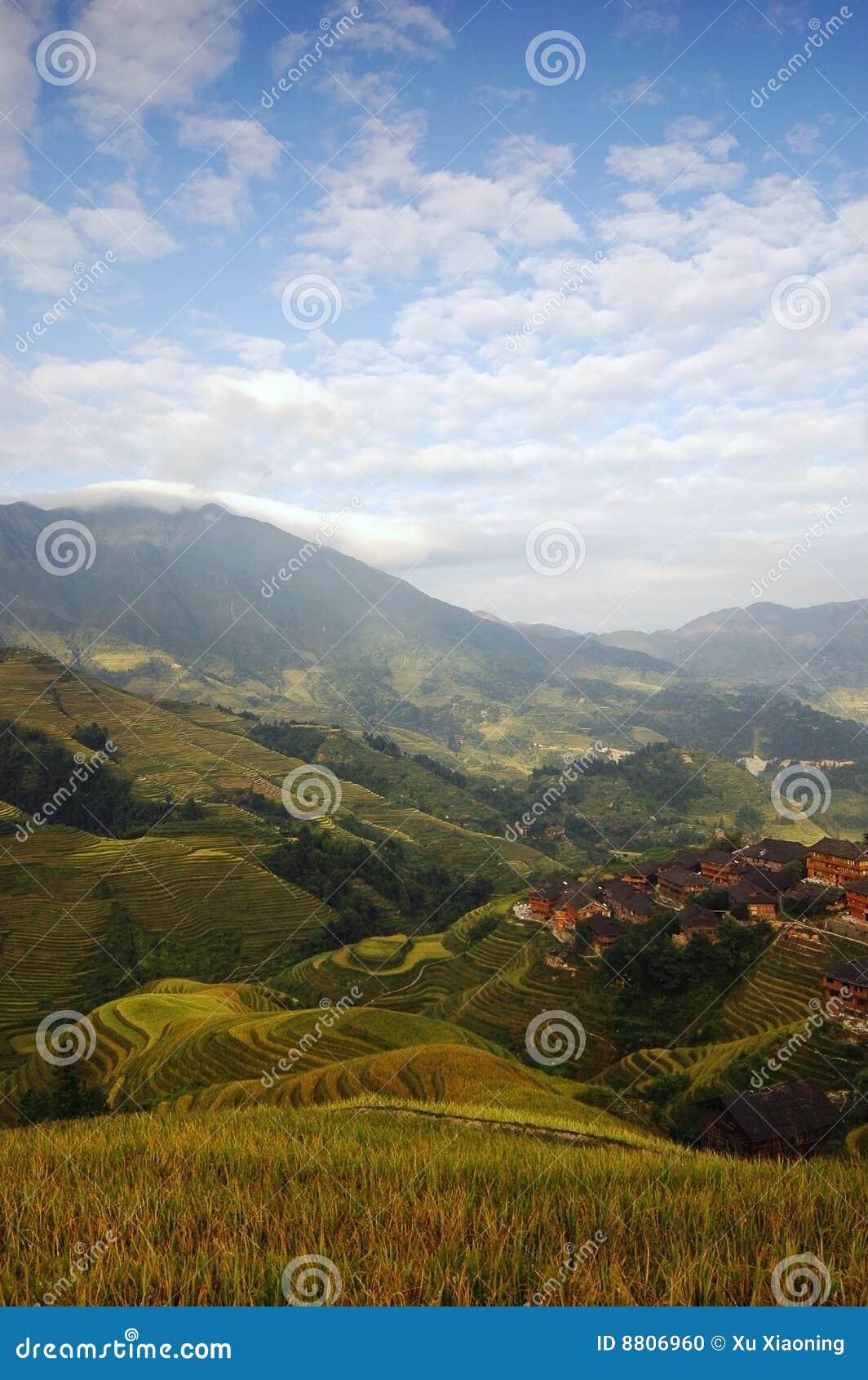 Terrace landscapes stock photo. Image of agriculture, terrace - 8806960