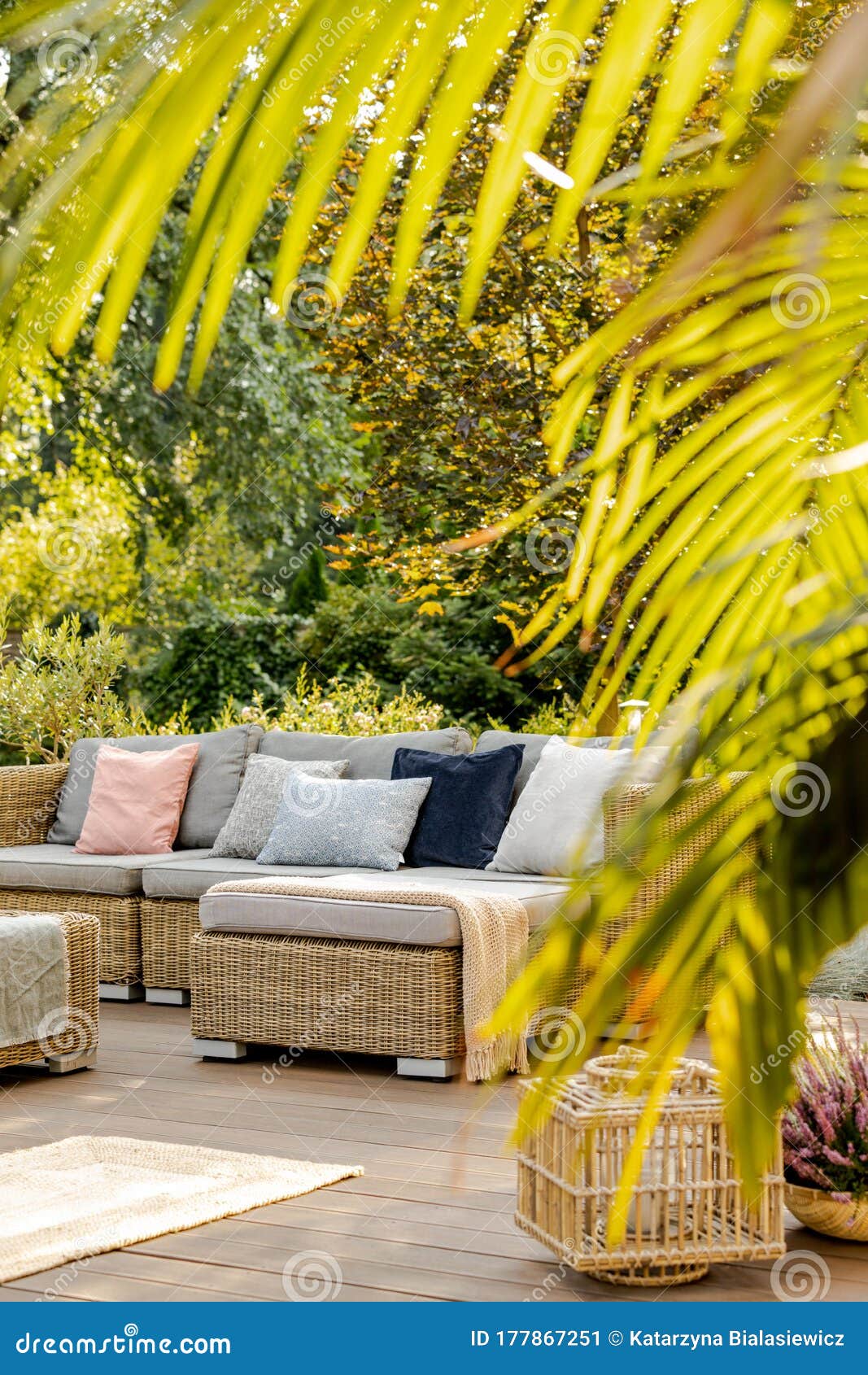 Terrace with Natural Design Stock Image - Image of natural, sofa: 177867251