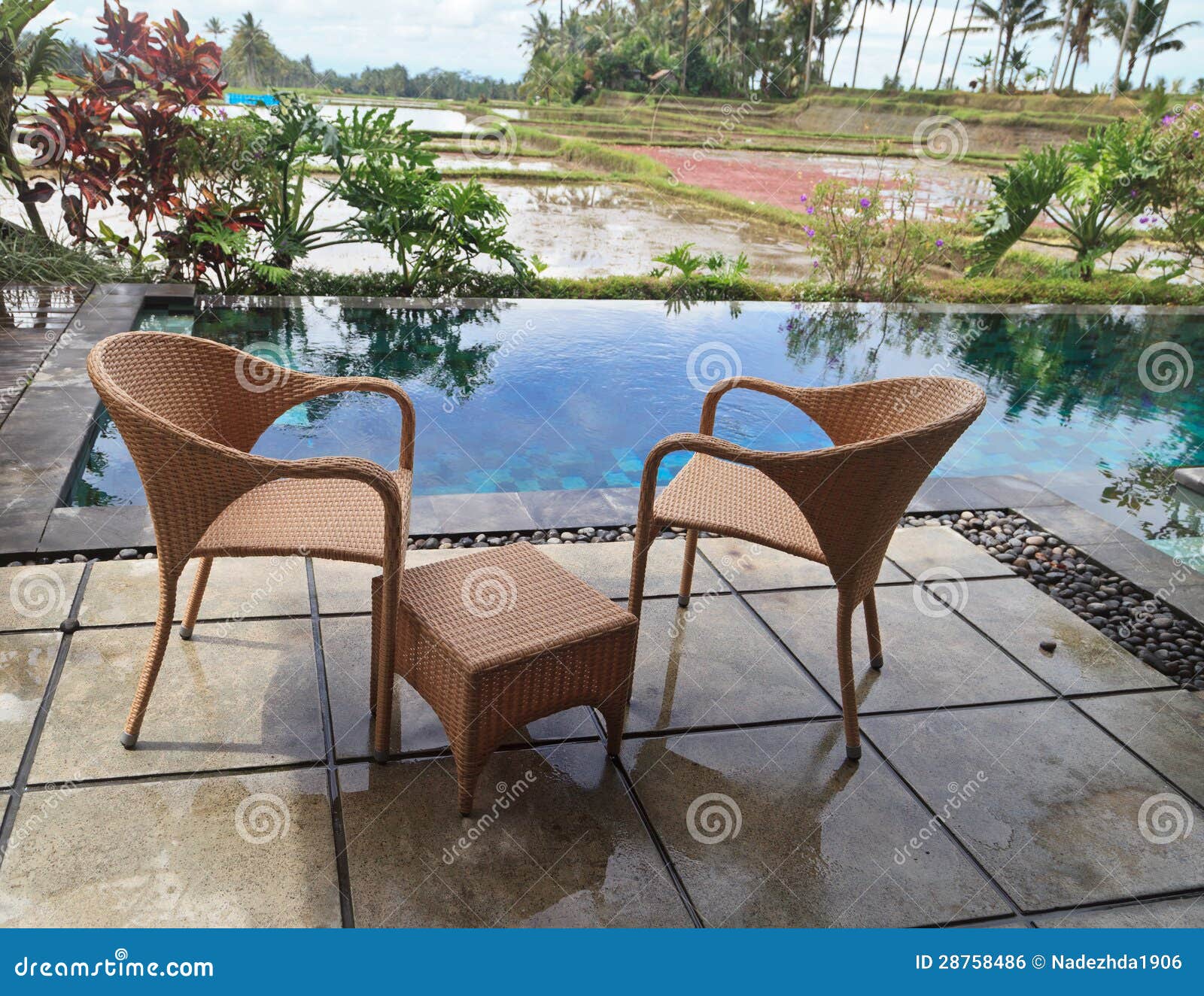 Terrace Overlooking Rice Fields Stock Photo - Image of organic, balcony ...