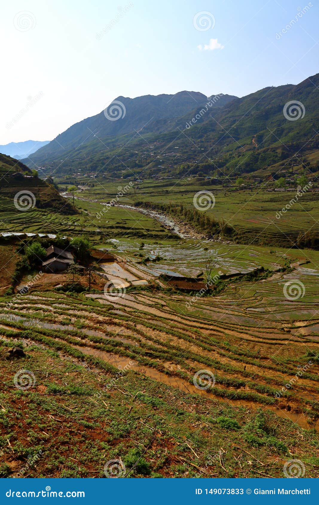 Terrace rice fields stock image. Image of plantation - 149073833