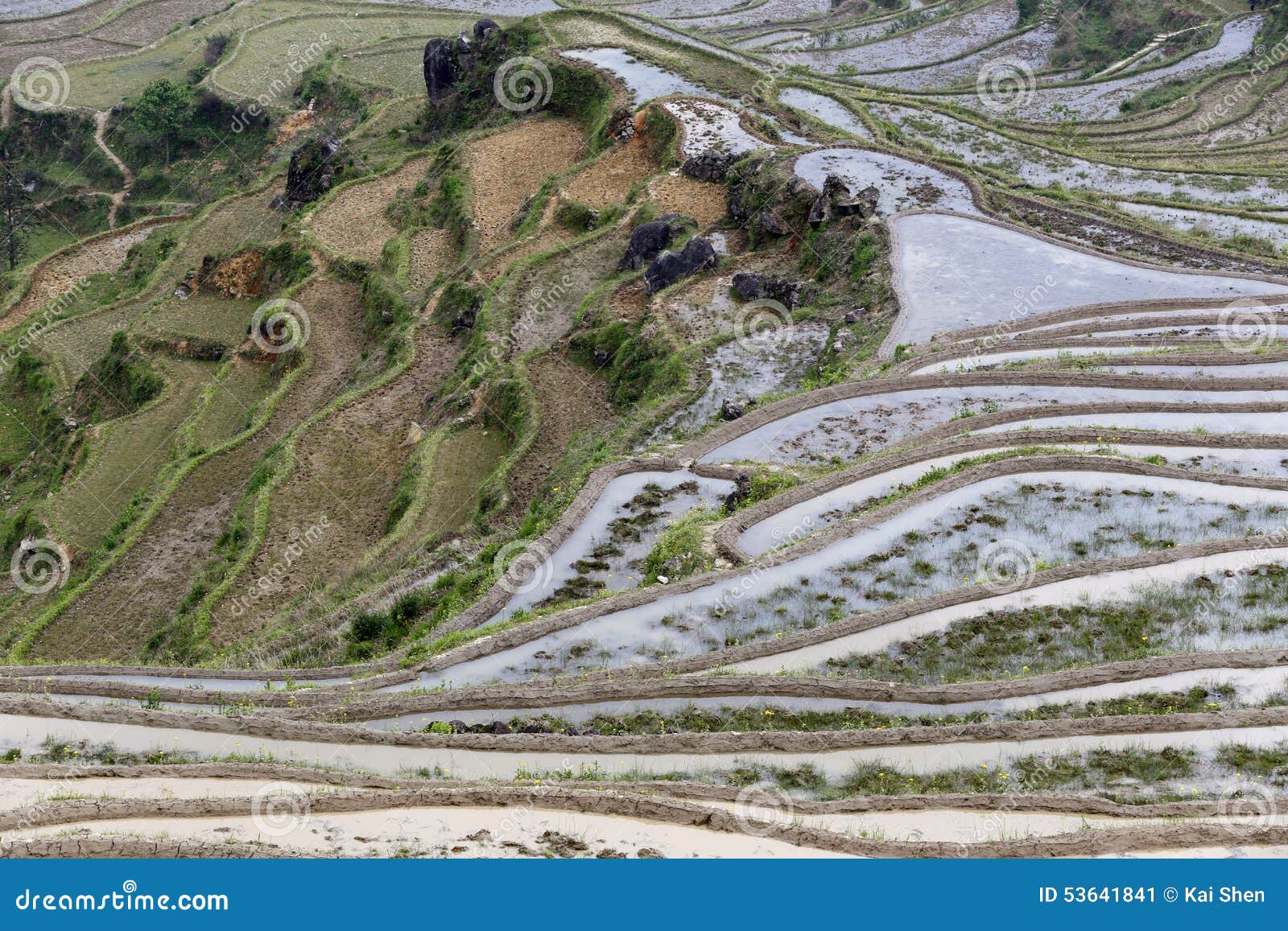 Terrace ridge like waves stock image. Image of farmers - 53641841