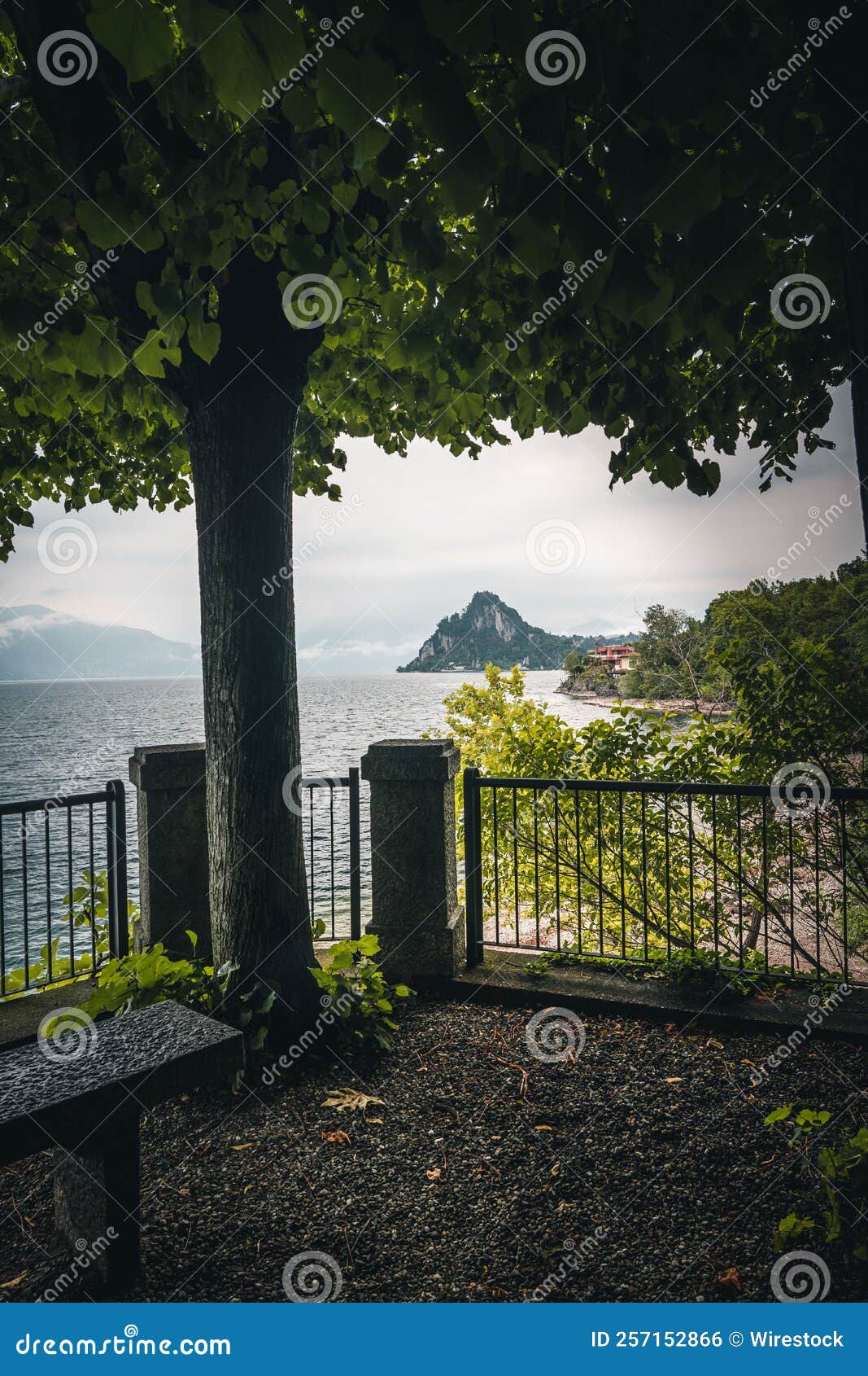 Terrace with Tree Shade Overlooking the Lake Stock Photo - Image of ...