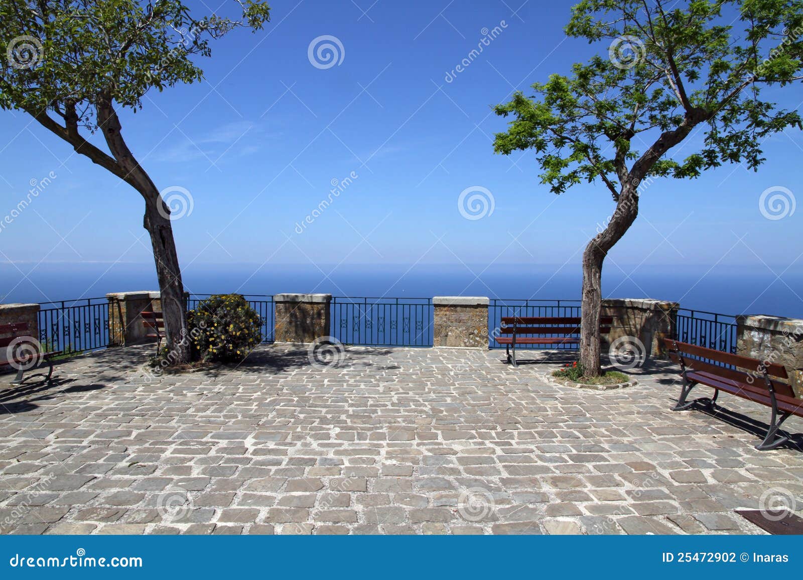 Terrace with Trees and Sea View Stock Photo - Image of view, flowers ...