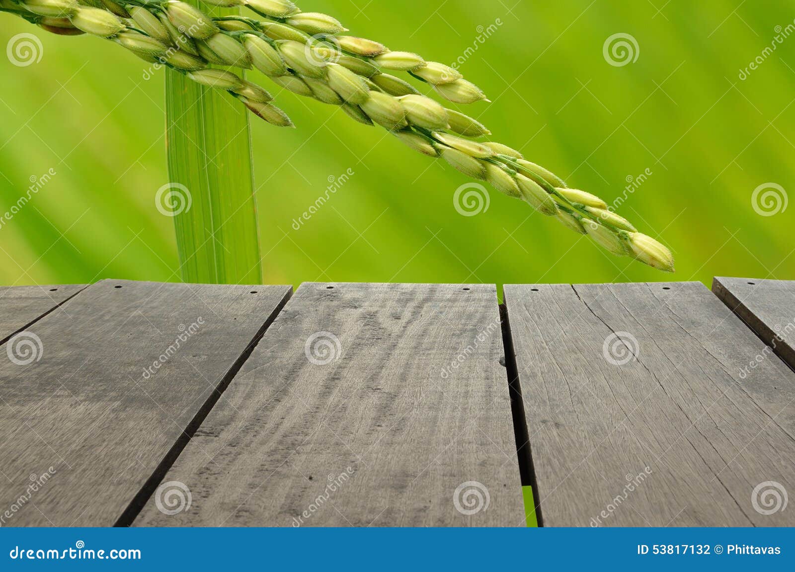 Terrace With A Wood Planks Flooring And A Beadboard White Ceiling Of A ...