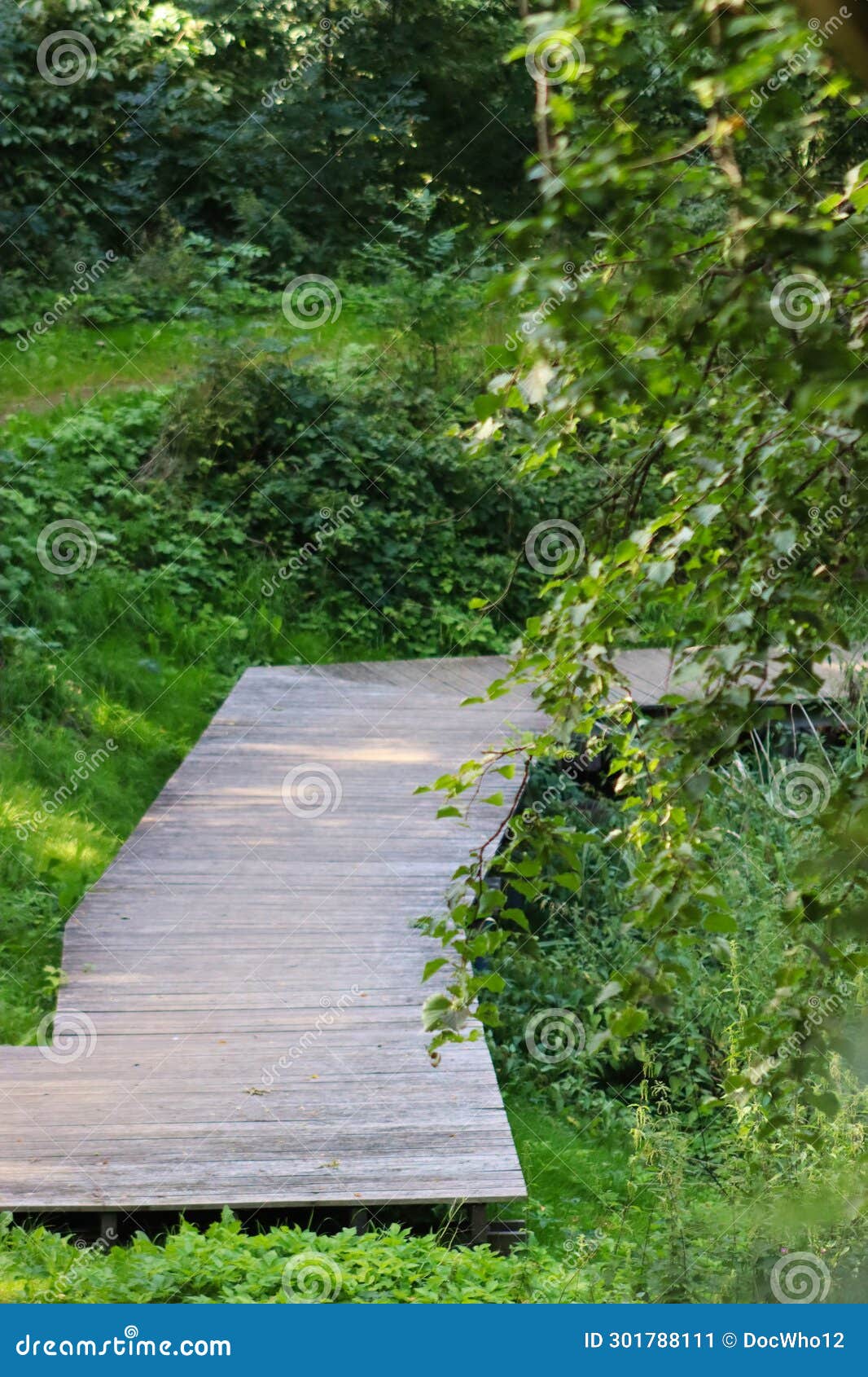 Terrace Wooden Platform. a Wooden Platform in the Park. Decking Wood ...